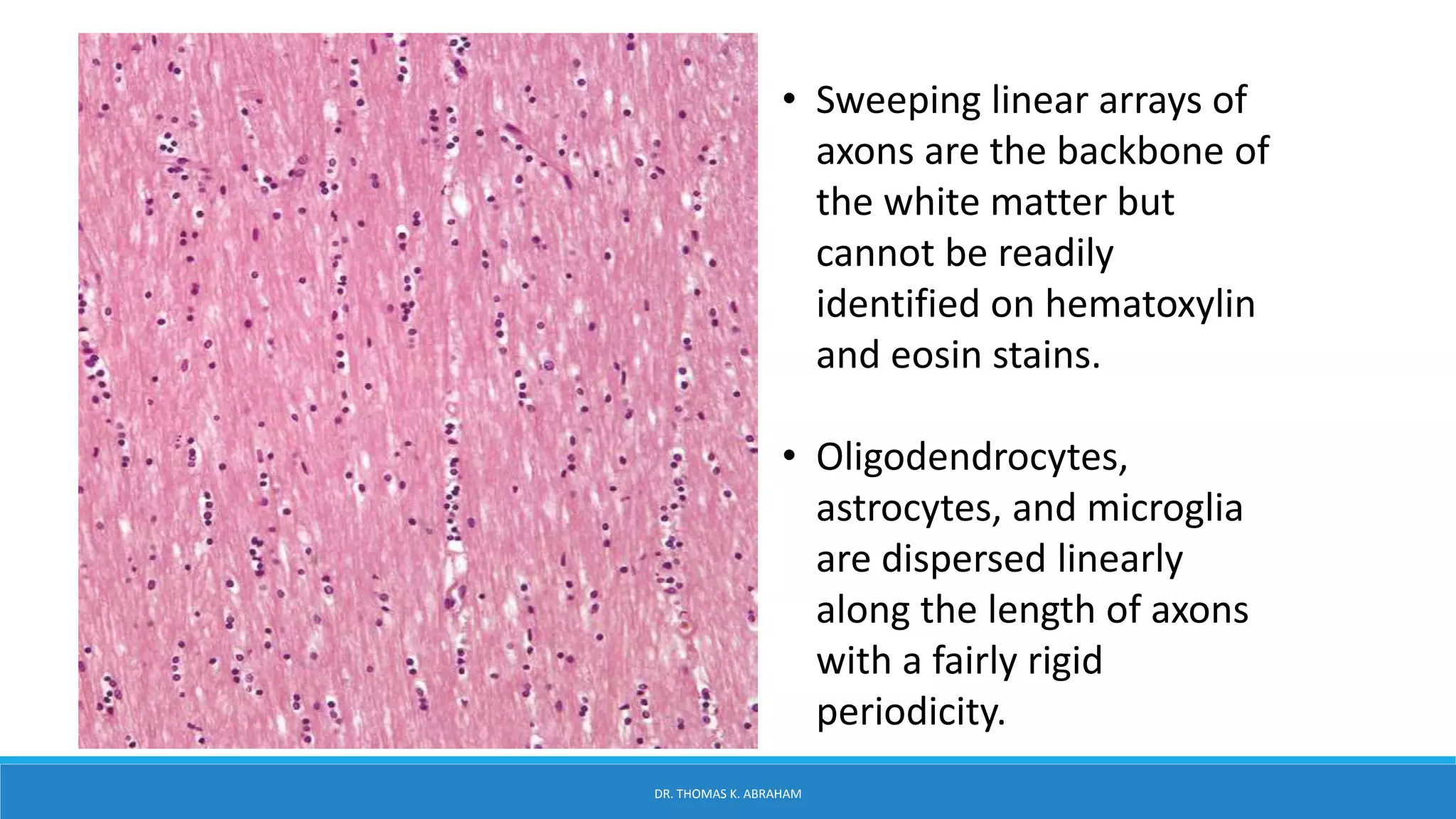 CNS normal histology | PPTX