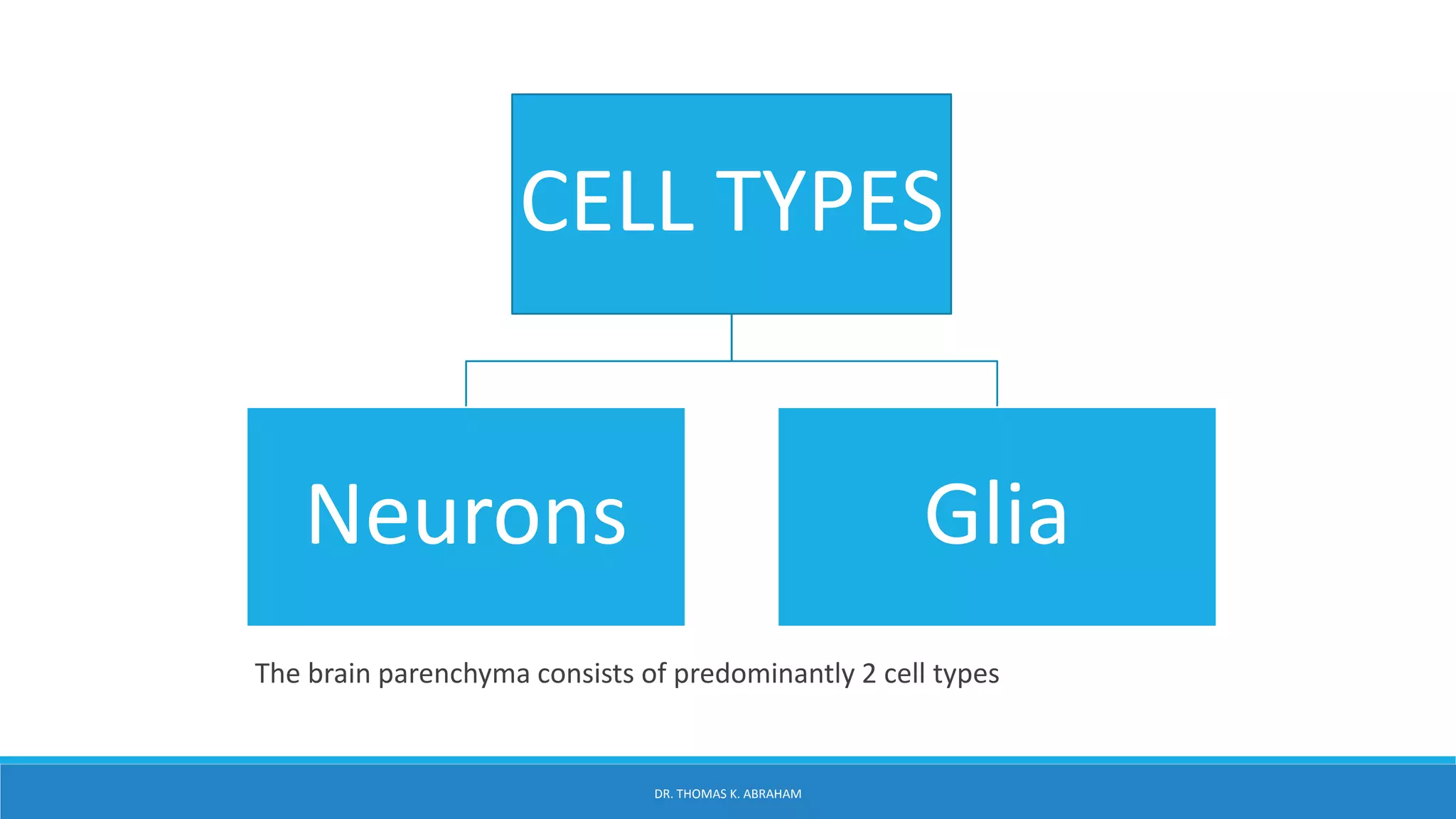 CNS normal histology | PPTX