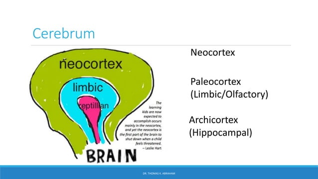 CNS normal histology | PPTX