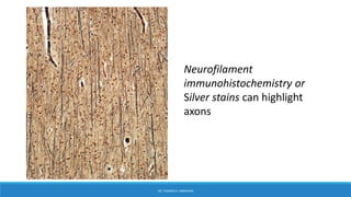 CNS normal histology | PPTX