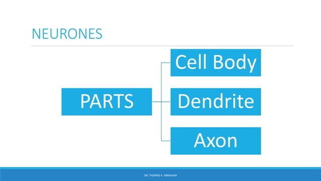 CNS normal histology | PPTX