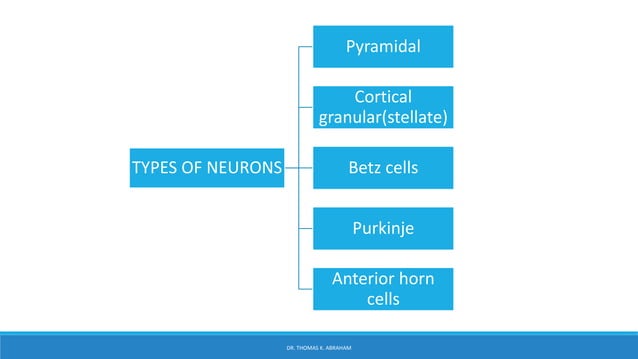 CNS normal histology | PPTX