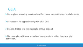 CNS normal histology | PPTX
