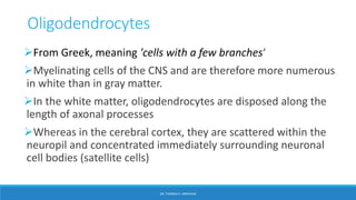 CNS normal histology | PPTX