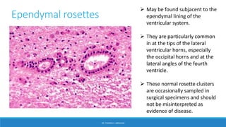 CNS normal histology | PPTX