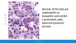 CNS normal histology | PPTX