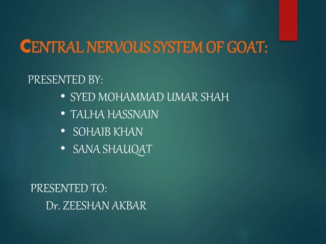CNS of Goat | PPTX | Brain and Nervous System Disorders | Diseases and ...
