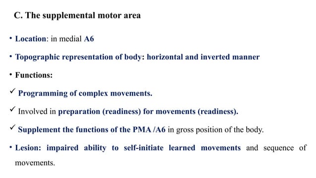 Physiology Central Nervous System part I.pptx