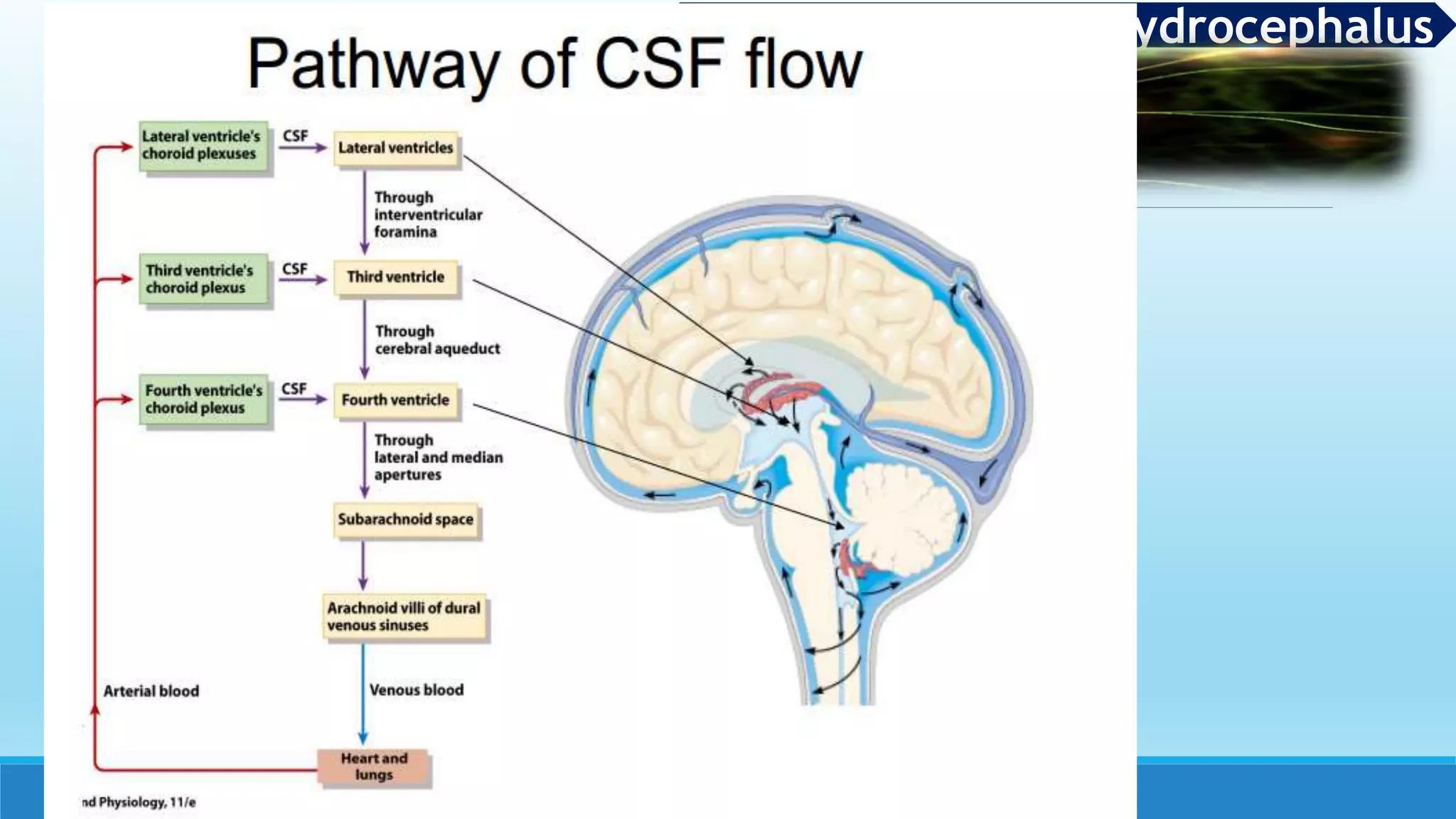 Central nervous system pathology | PPTX