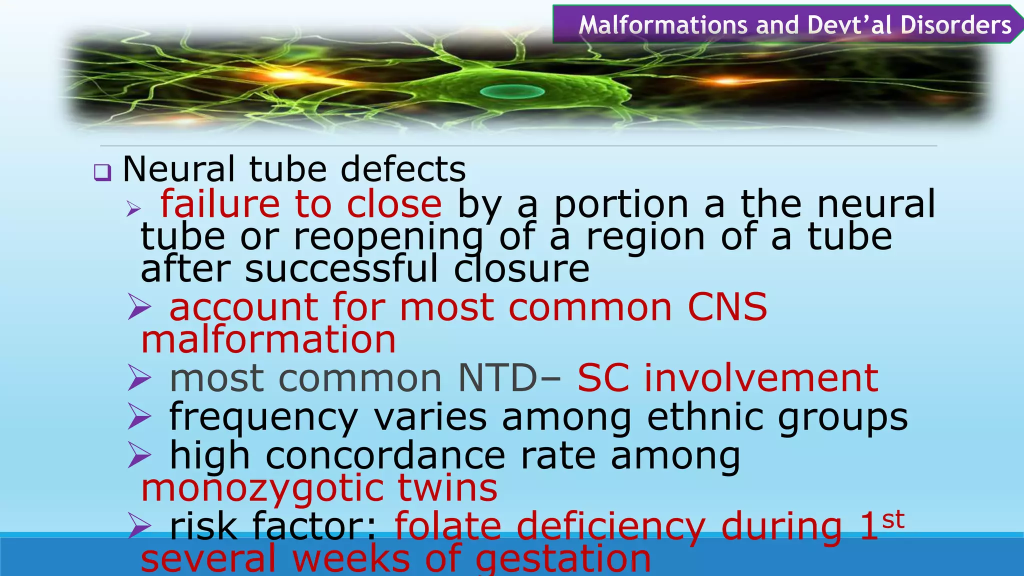 Central nervous system pathology | PPTX