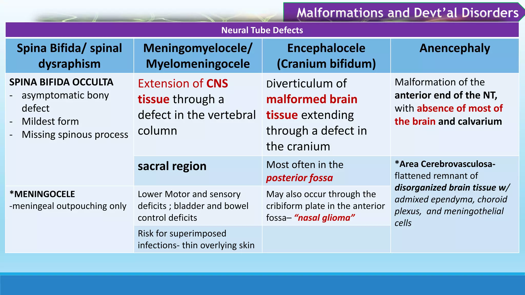 Central nervous system pathology | PPTX