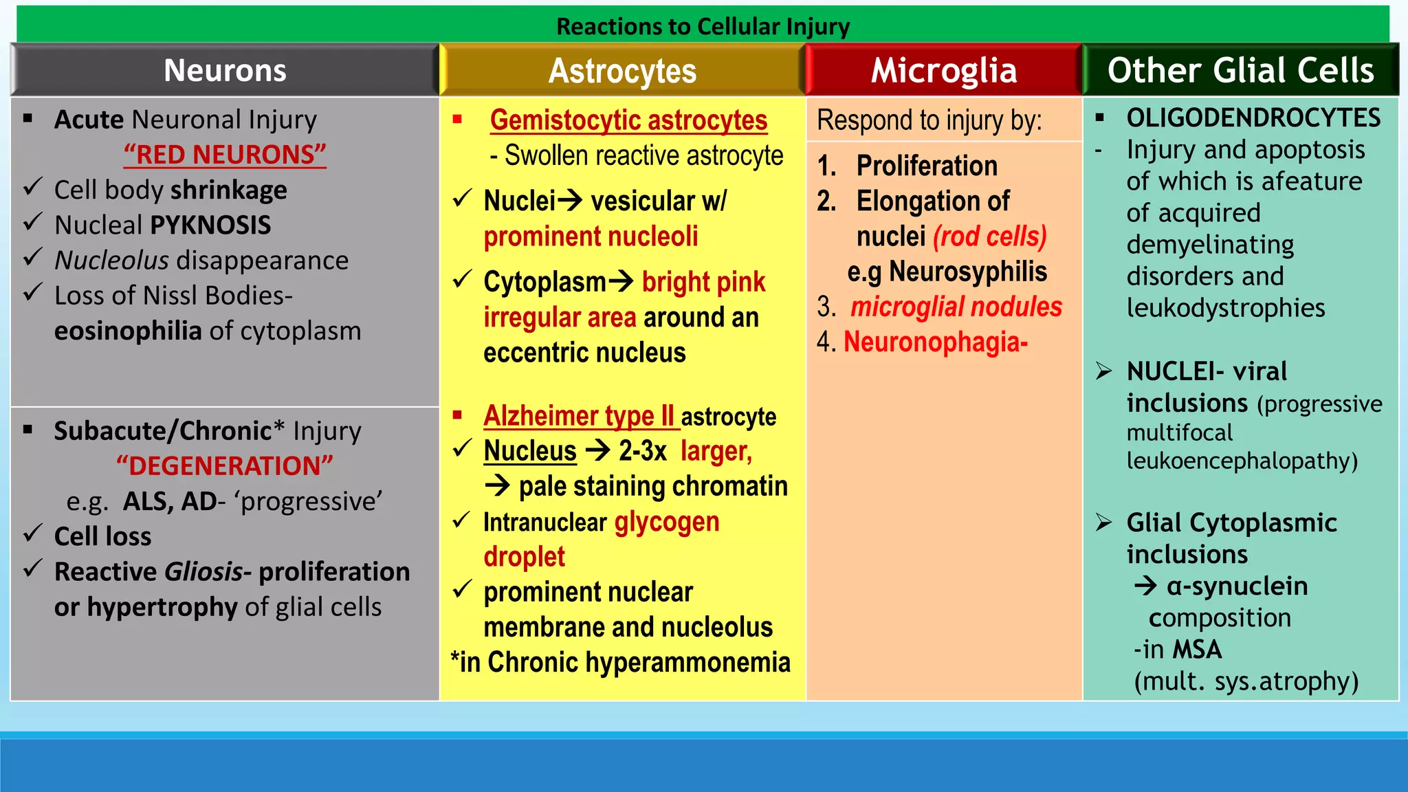 Central nervous system pathology | PPTX