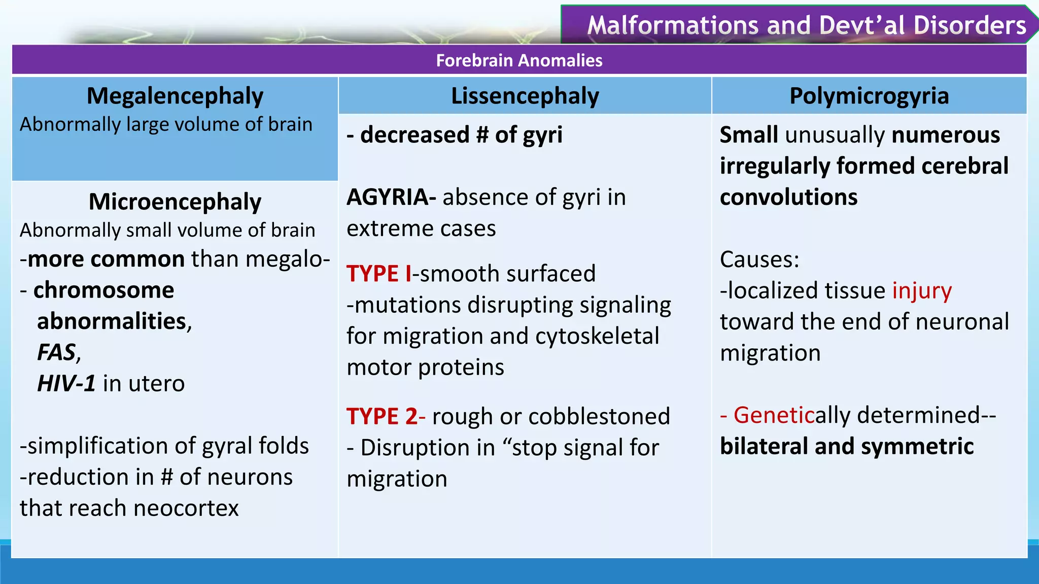 Central nervous system pathology | PPTX