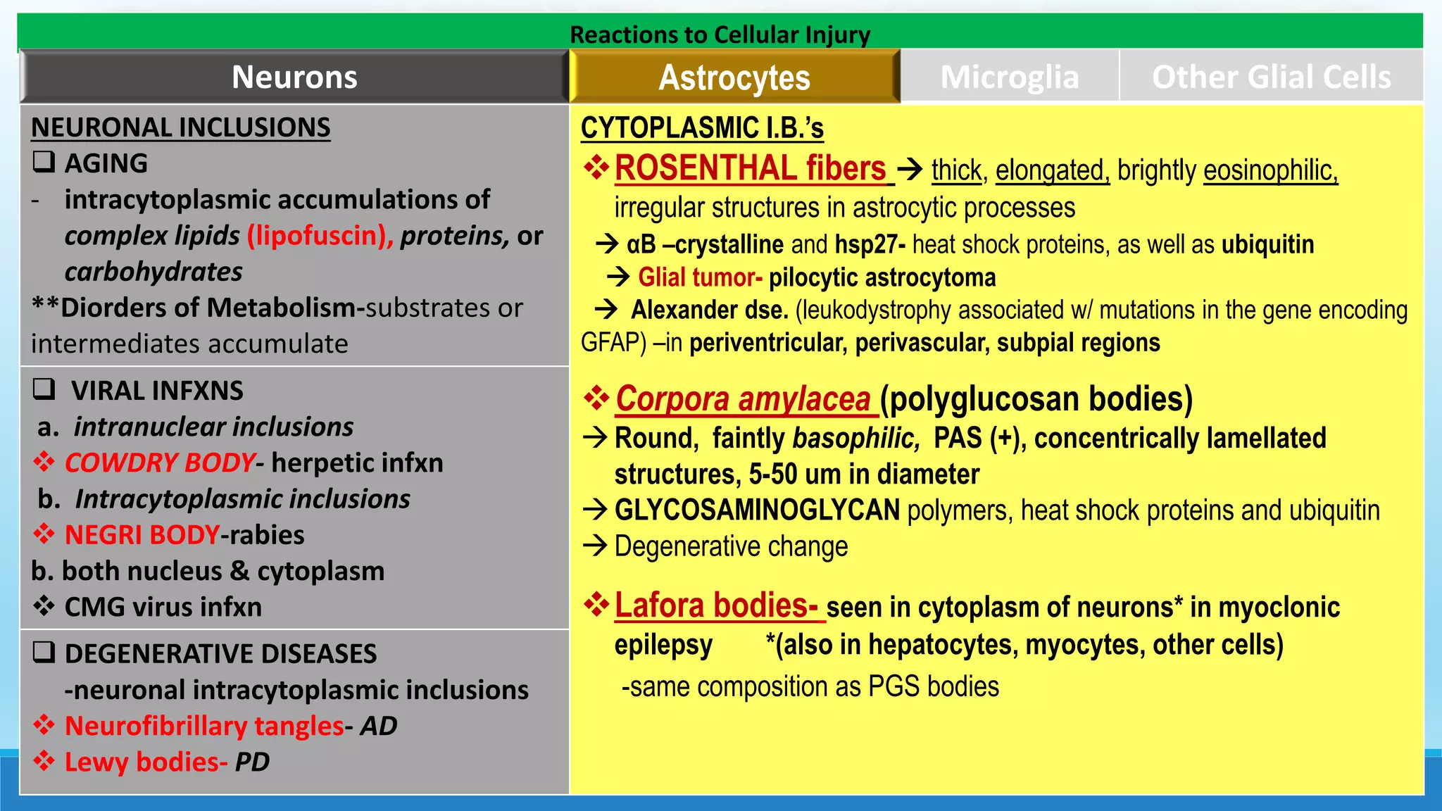 Central nervous system pathology | PPTX