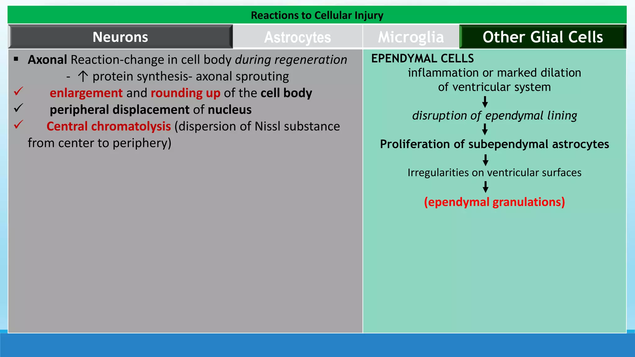 Central nervous system pathology | PPTX
