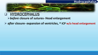 Central nervous system pathology | PPTX
