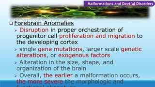 Central nervous system pathology | PPTX