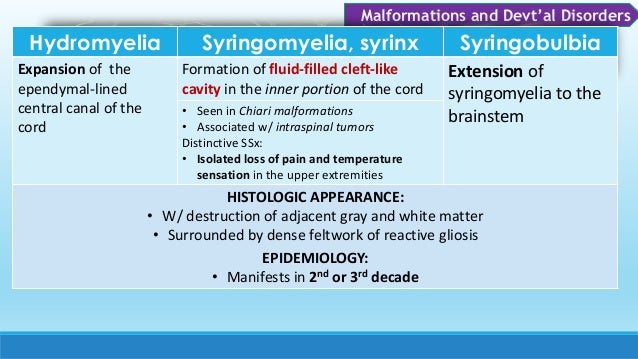 Central nervous system pathology