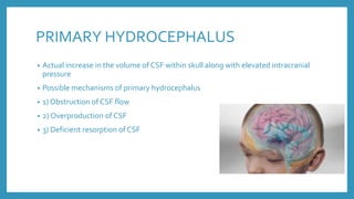 Hydrocephalus, meningitis and encephalitis - Pathology | PPTX