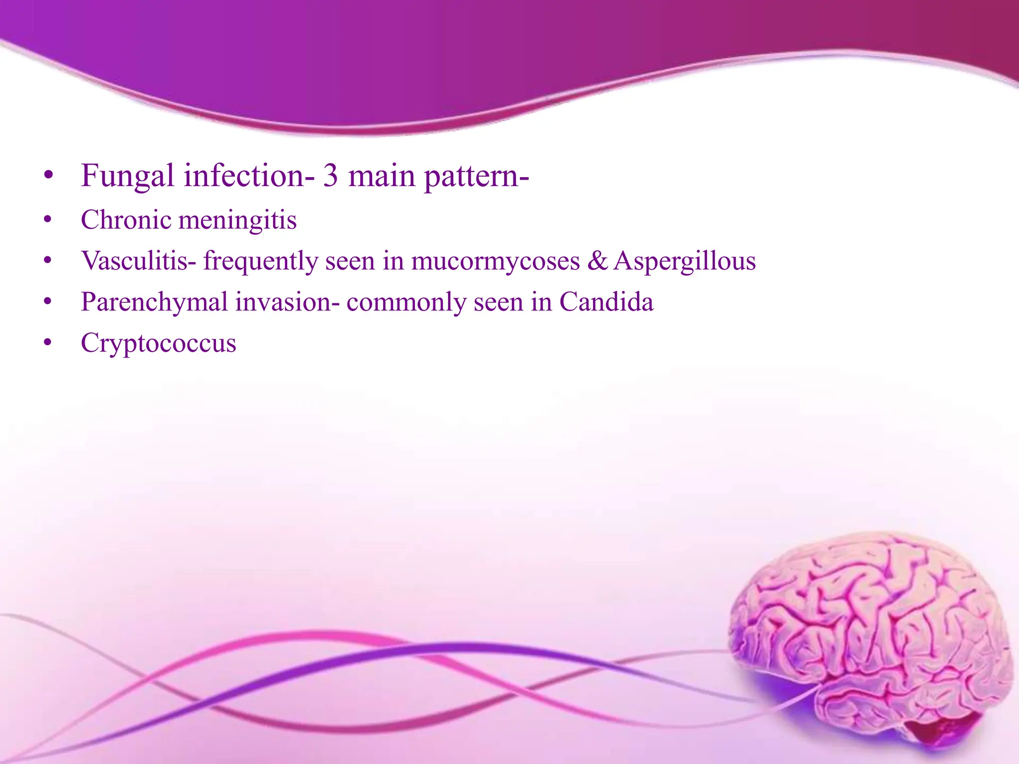 Central nervous Pathology by dr sadaf hussain | PPTX