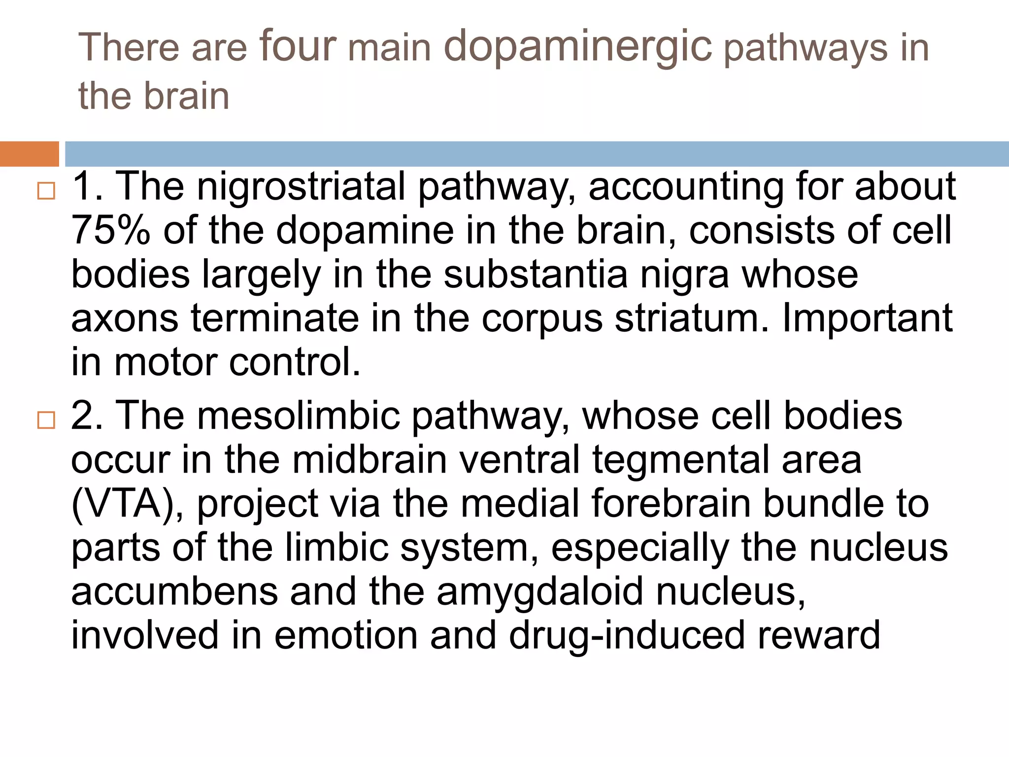 CNS Pathways | PPTX