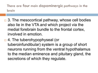 CNS Pathways | PPTX