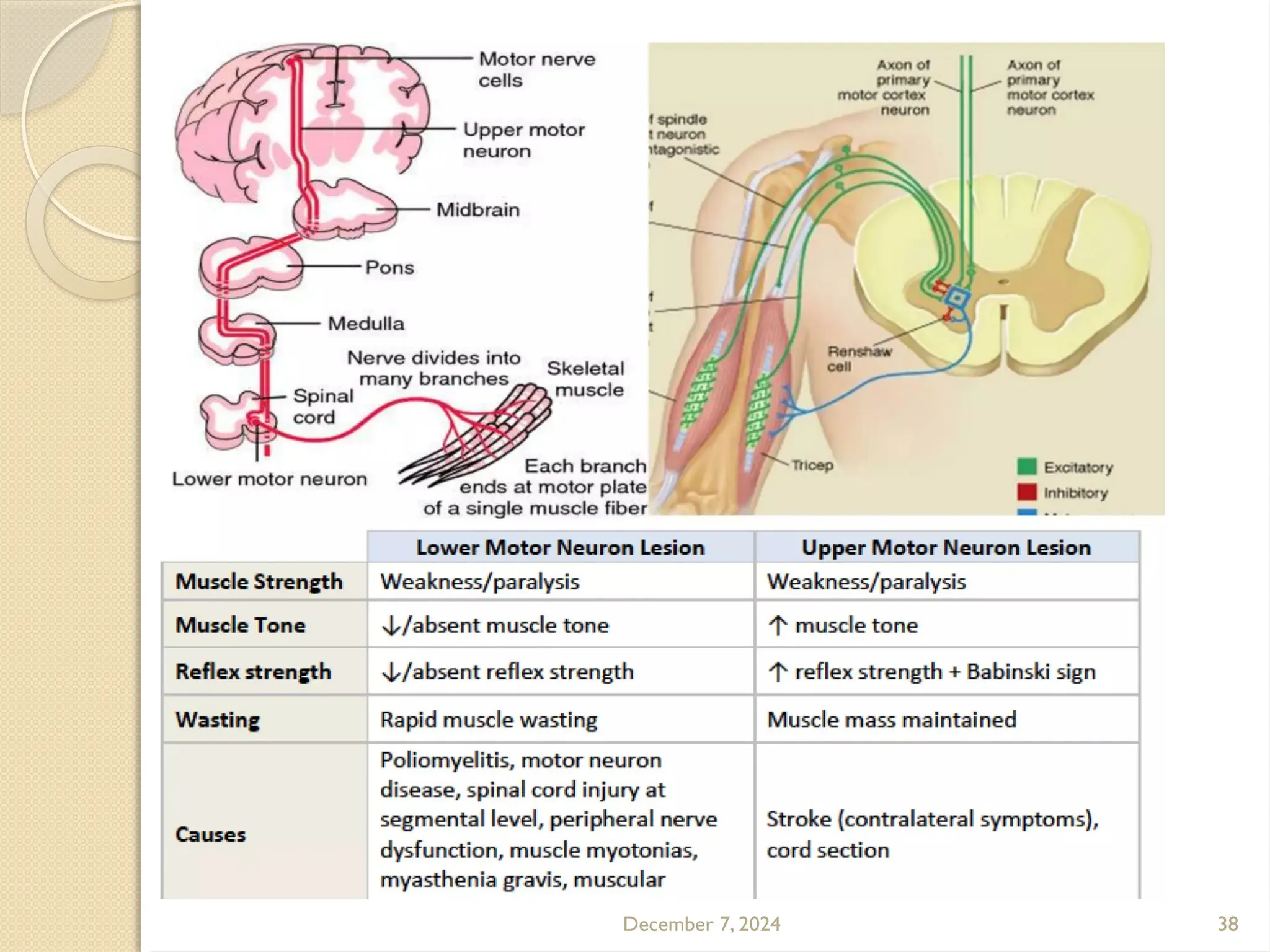 Central nervous system physical examination.pptx