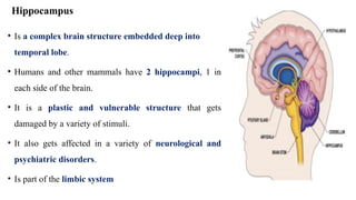 Physiology Central Nervous System pharma part II.pptx