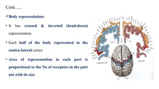 Physiology Central Nervous System pharma part II.pptx
