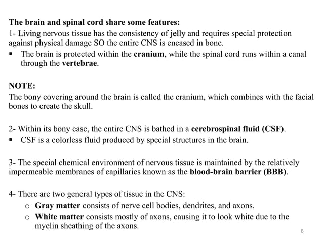 CNS Physiology.pptx