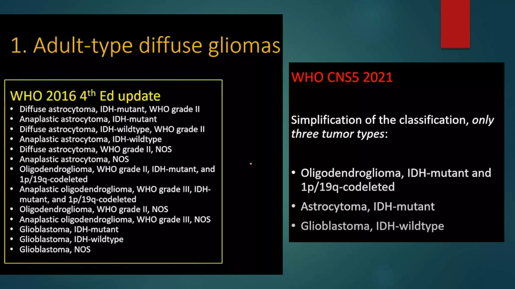 CNS PPT.pptx | Brain and Nervous System Disorders | Diseases and Conditions