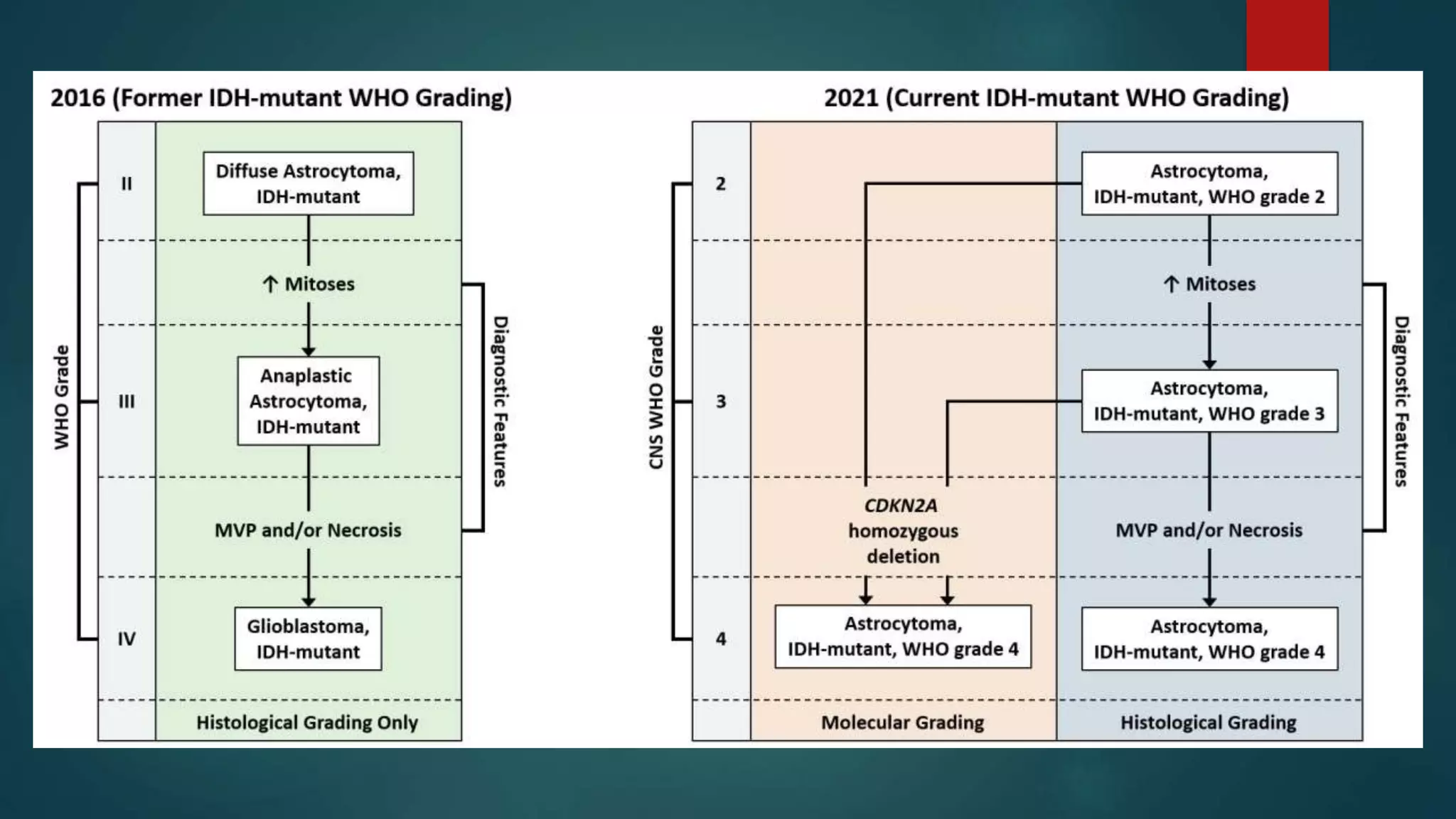 CNS PPT.pptx | Brain and Nervous System Disorders | Diseases and Conditions
