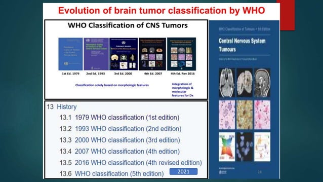 CNS PPT.pptx | Brain and Nervous System Disorders | Diseases and Conditions