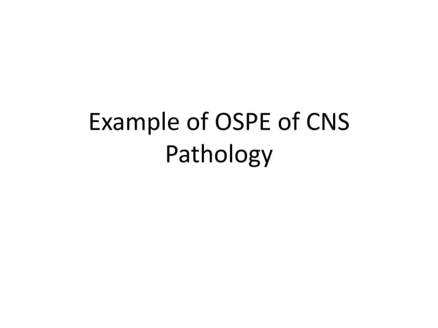CNS practical path | PPT