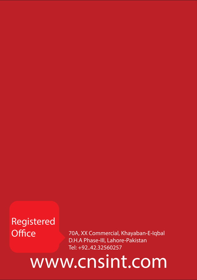 CNS Engineering Profile | PDF