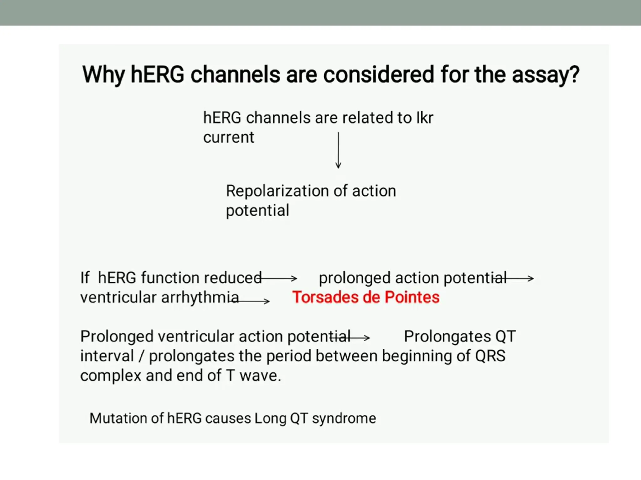 CNS, RESPIRATORY & CVS (hERG assay) SAFETY PHARMACOLOGY STUDIES | PPTX