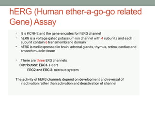 CNS, RESPIRATORY & CVS (hERG assay) SAFETY PHARMACOLOGY STUDIES | PPTX ...