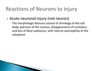 Cns response to injury | PPTX