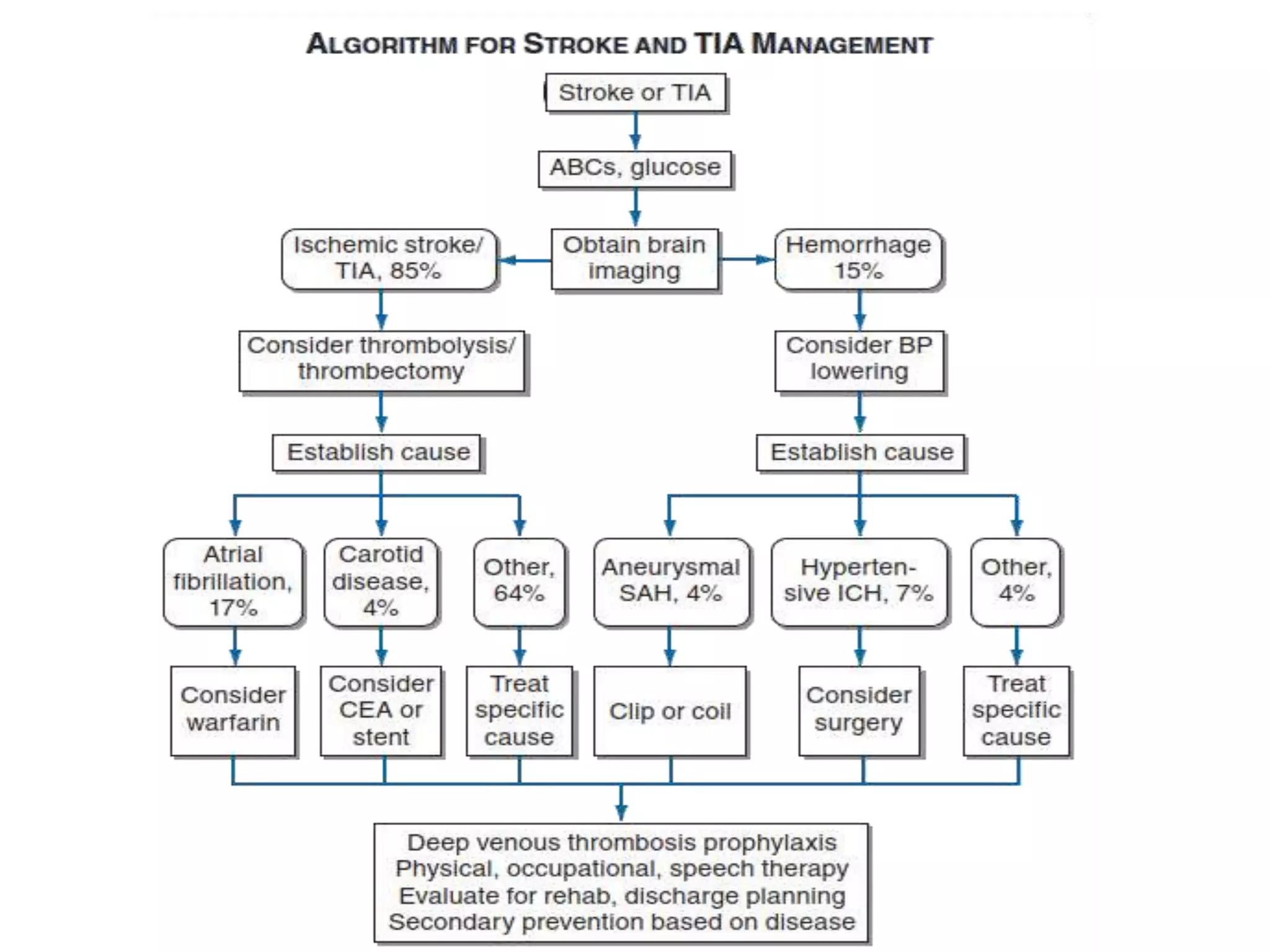 CNS Rheumatology Revision.pptx