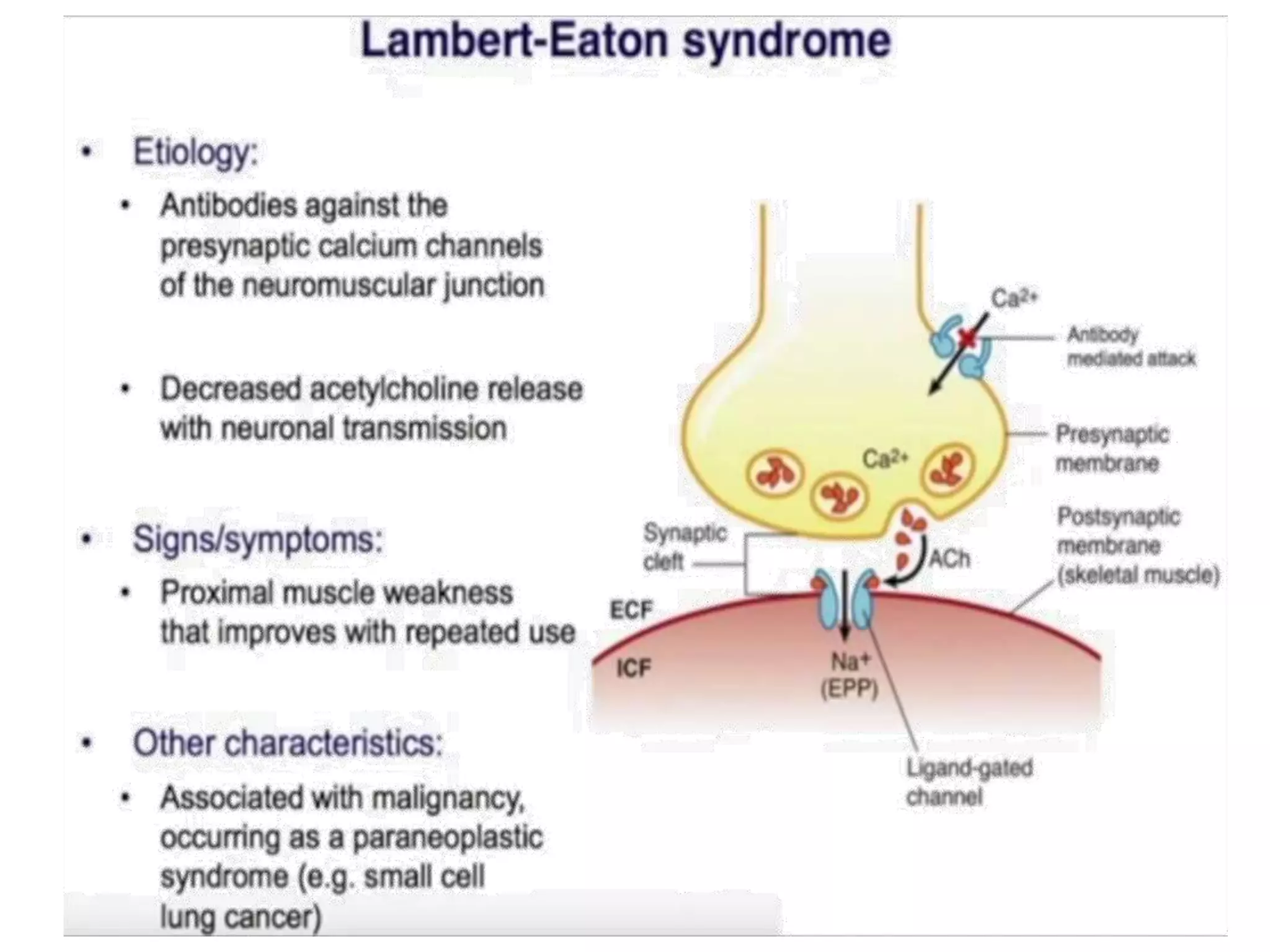 CNS Rheumatology Revision.pptx