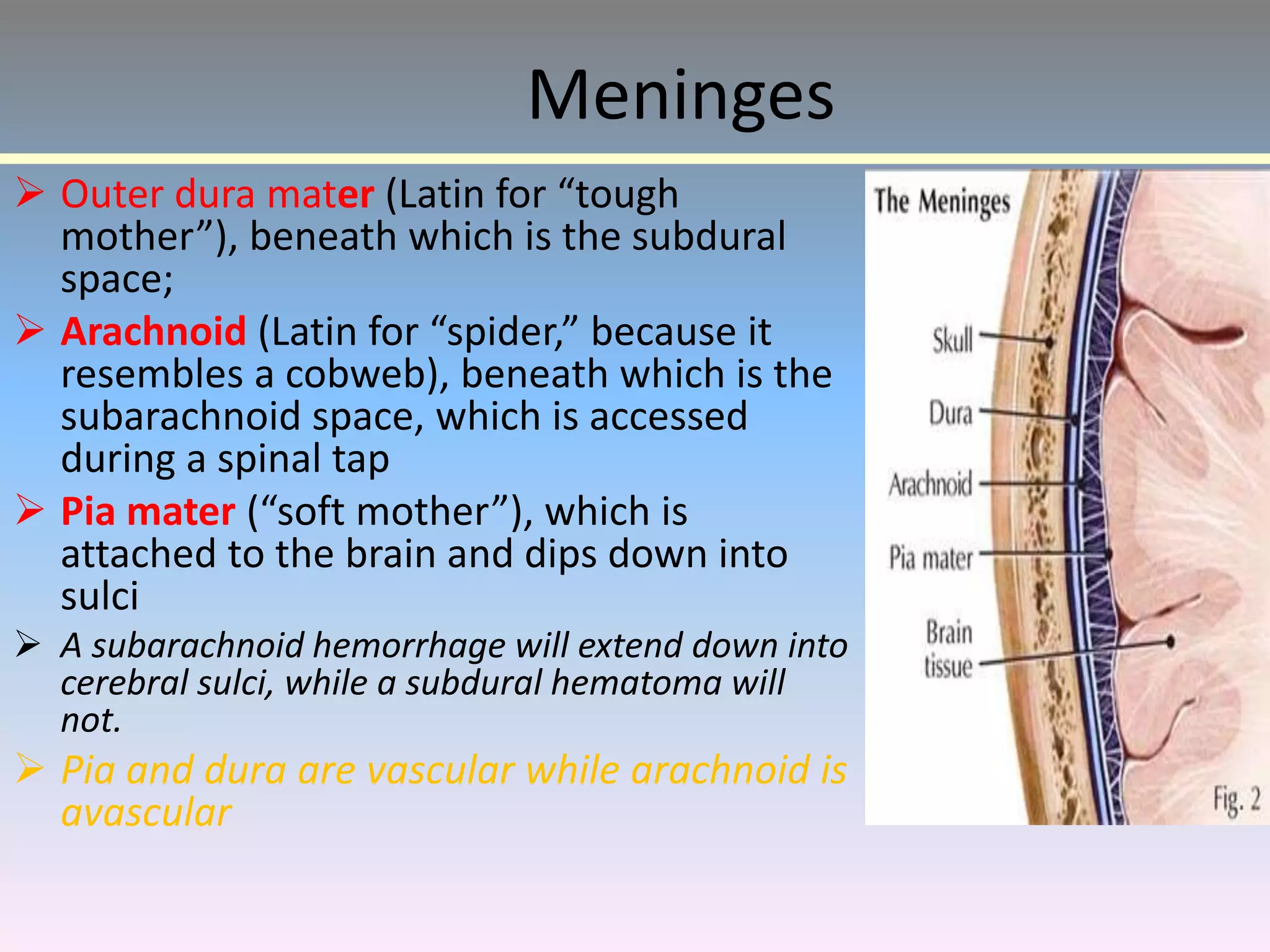CNS Imaging for Medical Students | PPTX