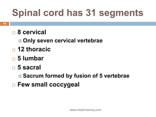 Spinal cord diseases | PPT