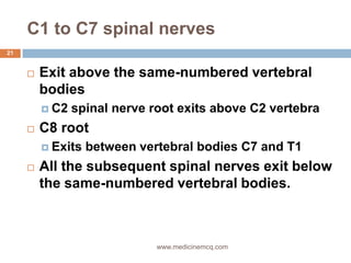 Spinal cord diseases | PPT