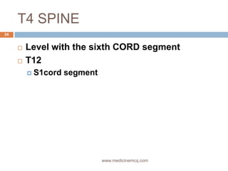 Spinal cord diseases | PPT