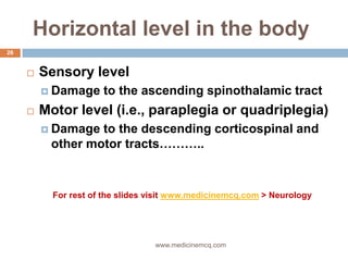 Spinal cord diseases | PPT