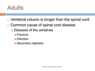 Spinal cord diseases | PPTX