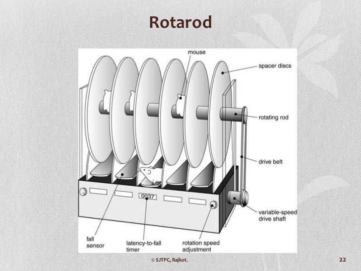 Evaluation of CNS Stimulants