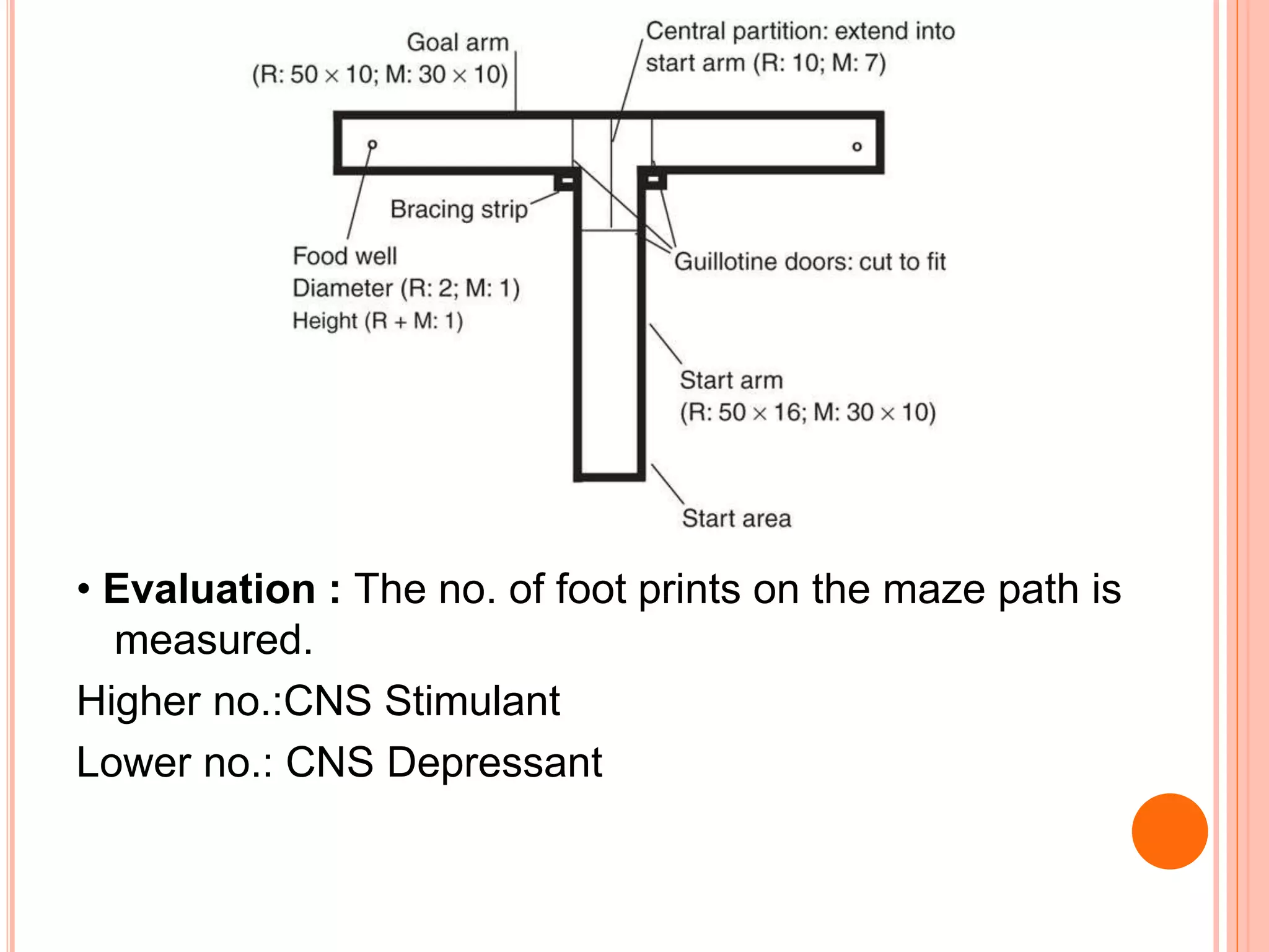 Cns stimulants and depressants screening models | PPTX
