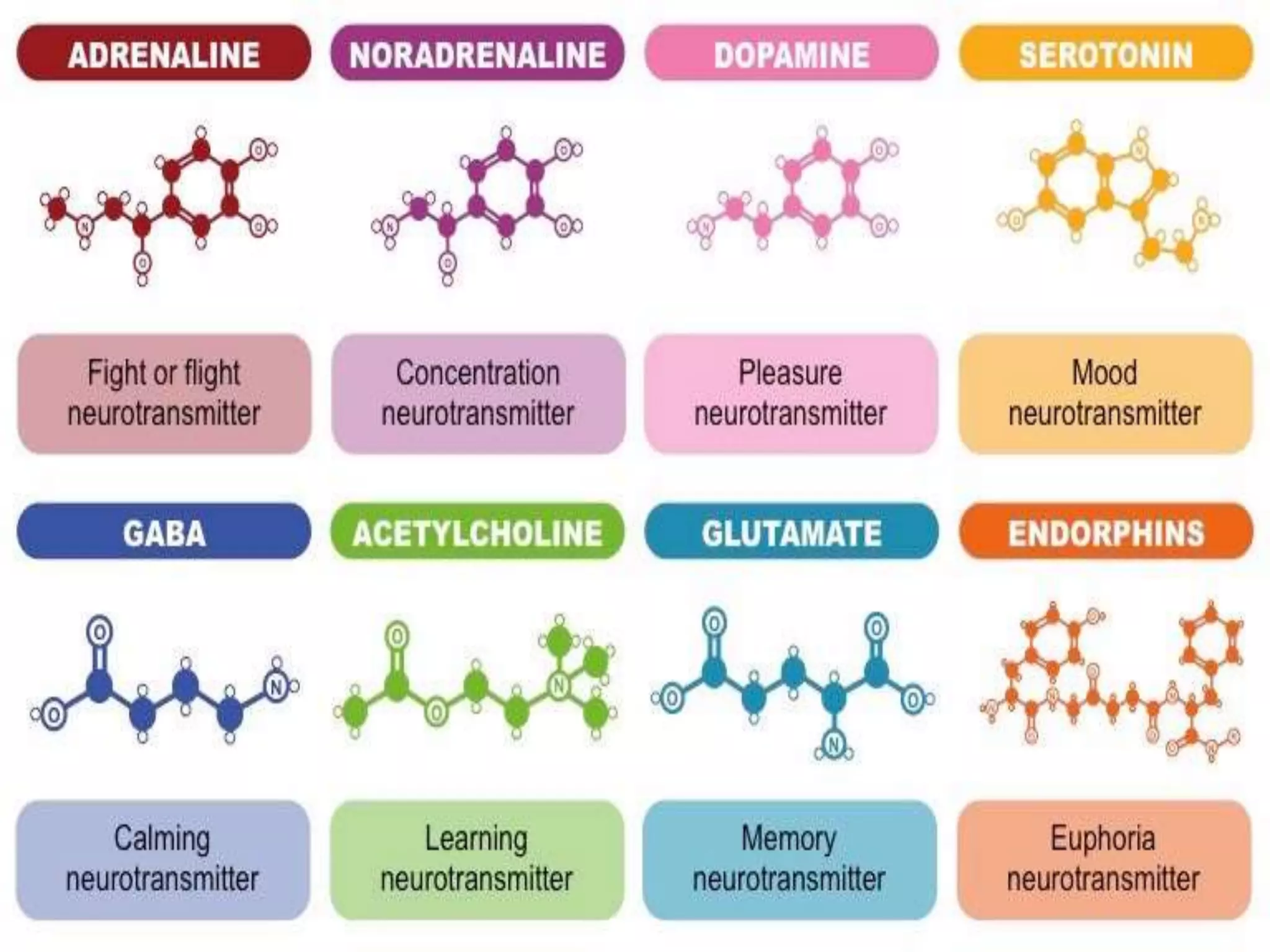 CNS stimulants and cognitive enhancers | PPTX