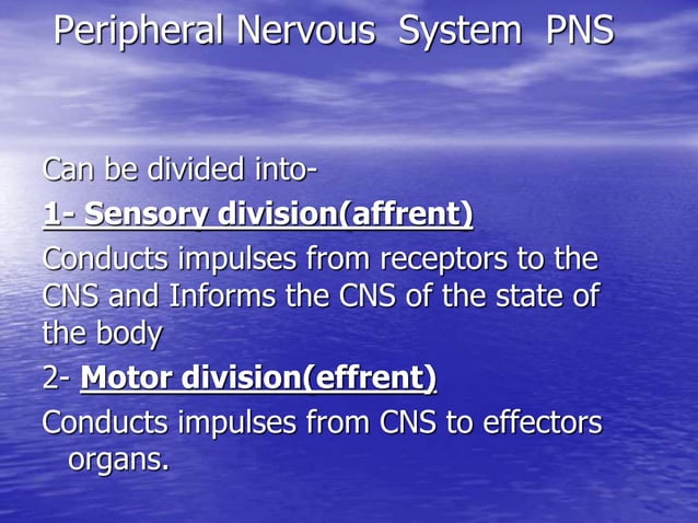 cns_stimulants_drugs (3).ppt